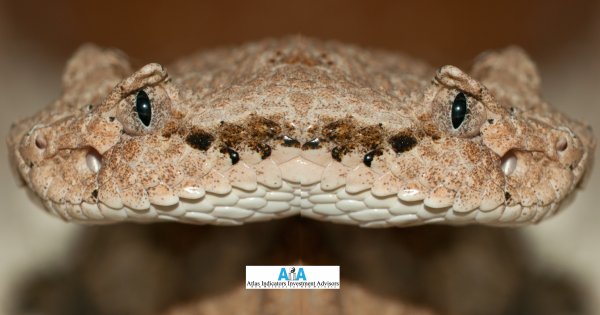 Two-Headed Snake | Atlas Indicators Investment Advisors